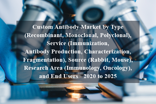 Buy Custom Antibody Market By Type (Recombinant, Monoclonal, Polyclonal ...